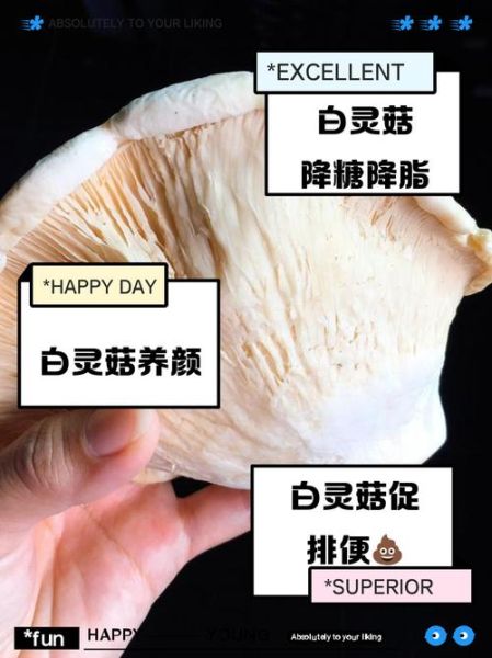 鲍汁白灵菇怎么做_鲍汁白灵菇营养价值-第3张图片-山城妙识