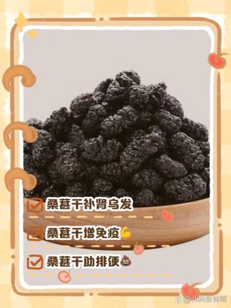 桑葚干怎么吃_桑葚干有哪些用途-第2张图片-山城妙识