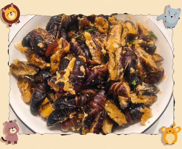 干煸蚕蛹怎么做_干煸蚕蛹怎么做好吃又脆-第3张图片-山城妙识