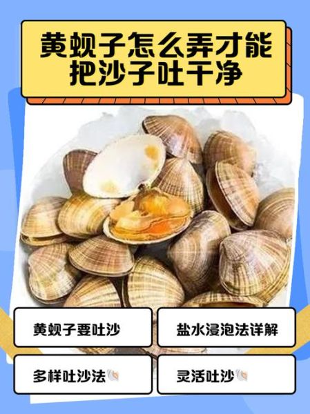 蚬子肉怎么清洗_蚬子肉去沙最快方法-第1张图片-山城妙识