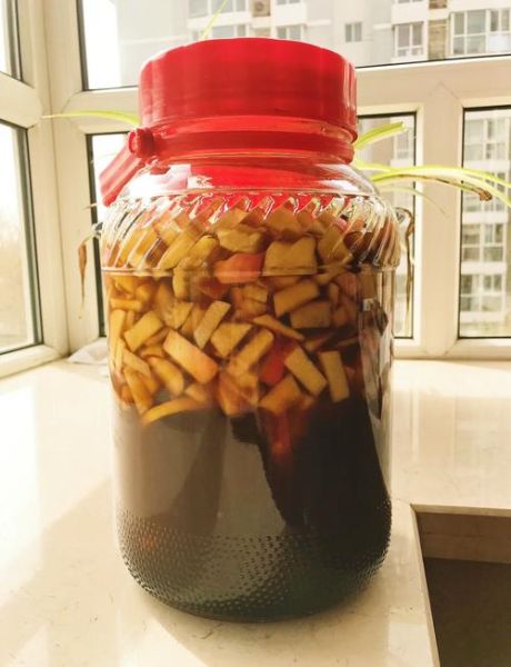 自制酵素用什么水果最好_酵素发酵失败怎么办-第2张图片-山城妙识 自制酵素用什么水果最好_酵素发酵失败怎么办-第2张图片-山城妙识