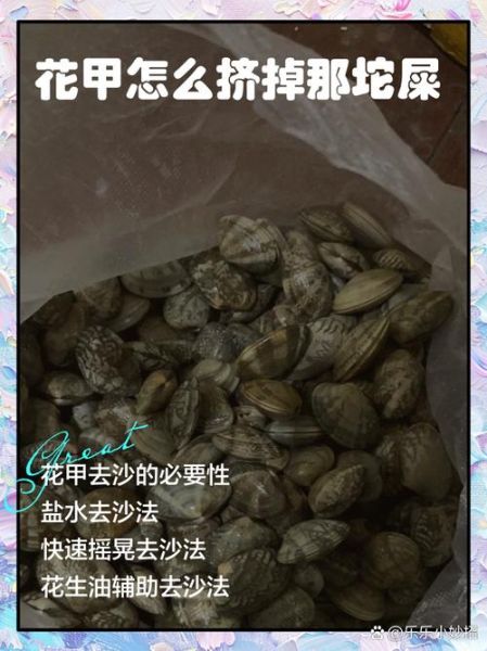 花甲怎么去沙快又干净_花甲吐沙最快的方法-第2张图片-山城妙识 花甲怎么去沙快又干净_花甲吐沙最快的方法-第2张图片-山城妙识