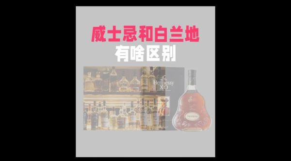 白兰地是什么酒_白兰地和威士忌的区别-第3张图片-山城妙识