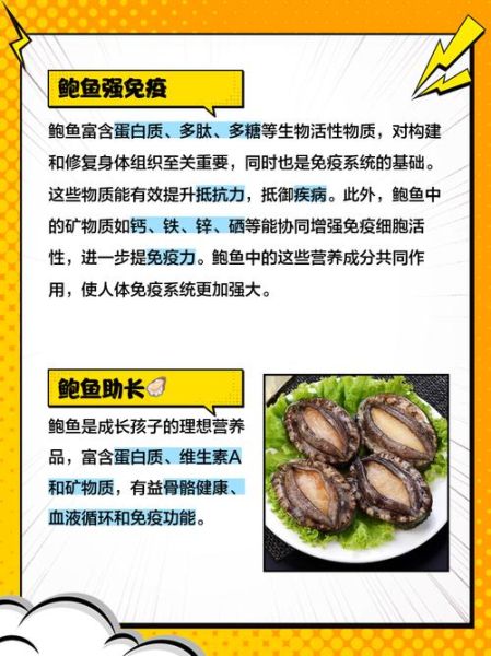 鲍鱼有什么功效_鲍鱼怎么吃最补-第2张图片-山城妙识 鲍鱼有什么功效_鲍鱼怎么吃最补-第2张图片-山城妙识