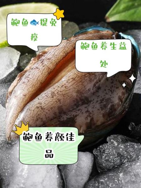 鲍鱼有什么功效_鲍鱼怎么吃最补-第3张图片-山城妙识 鲍鱼有什么功效_鲍鱼怎么吃最补-第3张图片-山城妙识