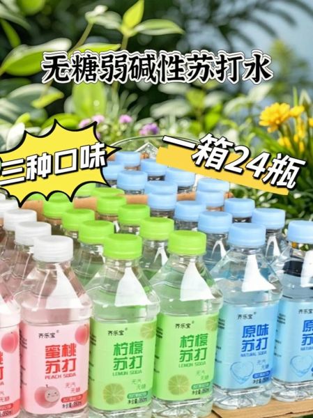 自制苏打水安全吗_买的苏打水健康吗-第3张图片-山城妙识