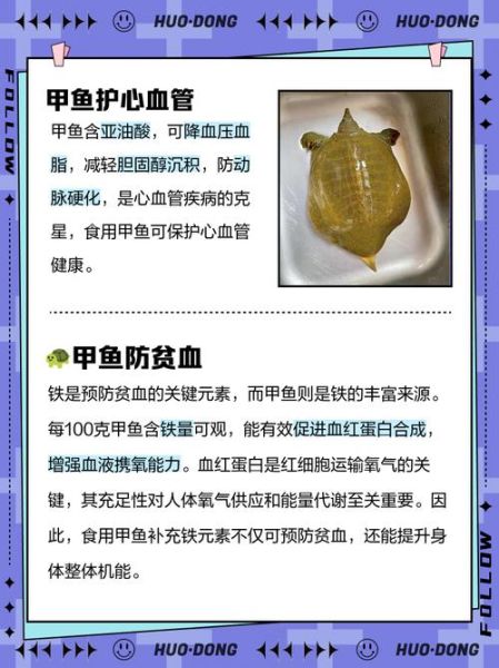 男人吃王八补什么_男人吃王八有什么好处-第1张图片-山城妙识