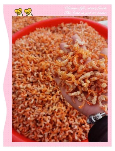 海米怎么泡发_海米怎么保存-第3张图片-山城妙识