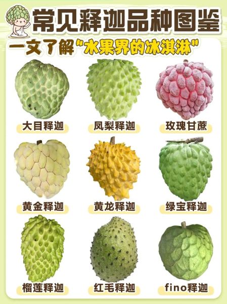 释迦怎么吃_释迦的功效与作用-第2张图片-山城妙识