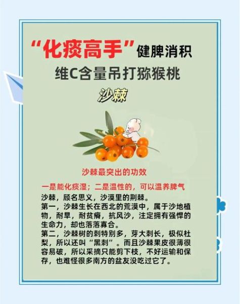 沙棘的功效与作用适合人群_沙棘适合什么人吃-第3张图片-山城妙识 沙棘的功效与作用适合人群_沙棘适合什么人吃-第3张图片-山城妙识