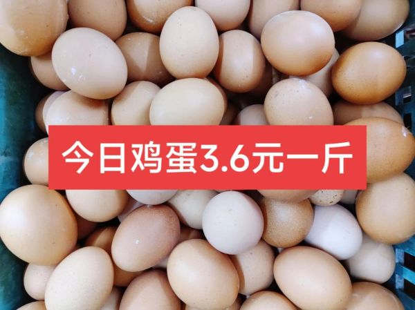 今日鸡蛋价格多少钱一斤_今日鸡蛋价格走势如何-第3张图片-山城妙识