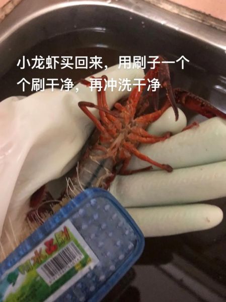 小龙虾怎么处理_小龙虾清洗步骤-第1张图片-山城妙识 小龙虾怎么处理_小龙虾清洗步骤-第1张图片-山城妙识