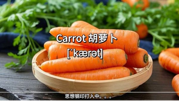 萝卜英语怎么说_萝卜英文发音怎么读-第3张图片-山城妙识