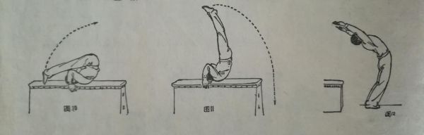 鲤鱼打挺怎么练_鲤鱼打挺技巧-第3张图片-山城妙识 鲤鱼打挺怎么练_鲤鱼打挺技巧-第3张图片-山城妙识