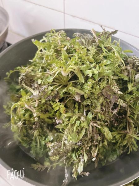 荠菜花晒干泡水喝有什么功效_荠菜花晒干泡水喝的正确方法-第3张图片-山城妙识