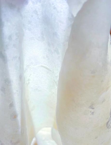 杭州春饼怎么做_春饼皮怎么擀不裂-第1张图片-山城妙识