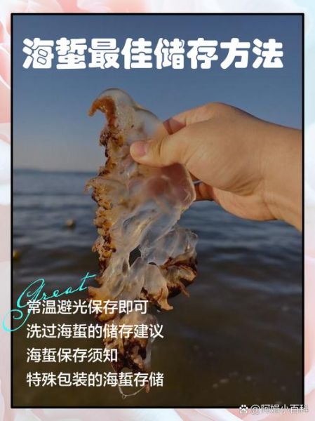 海蜇头怎么保存_海蜇头可以放多久-第2张图片-山城妙识
