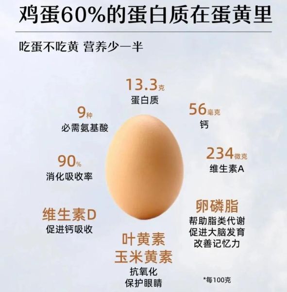 鸡蛋的营养价值与功效_每天吃鸡蛋会不会升高胆固醇-第1张图片-山城妙识 鸡蛋的营养价值与功效_每天吃鸡蛋会不会升高胆固醇-第1张图片-山城妙识