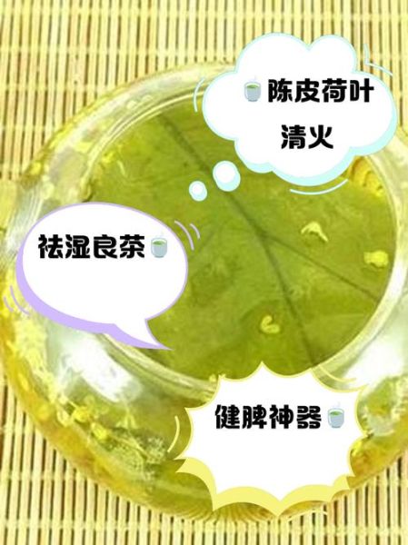 荷叶陈皮茶真的能减肥吗_多久见效-第1张图片-山城妙识