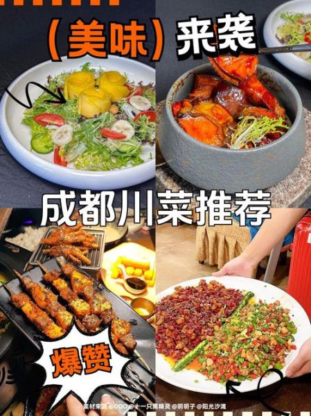 四川川菜菜谱大全视频app哪个好_怎么选-第3张图片-山城妙识