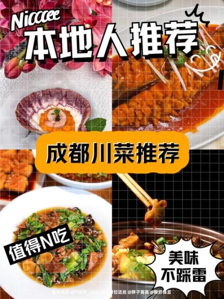 四川川菜菜谱大全视频app哪个好_怎么选-第2张图片-山城妙识