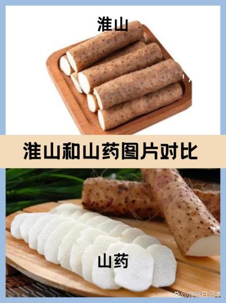 淮山和山药哪个适合煲汤_煲汤用淮山还是山药-第1张图片-山城妙识 淮山和山药哪个适合煲汤_煲汤用淮山还是山药-第1张图片-山城妙识