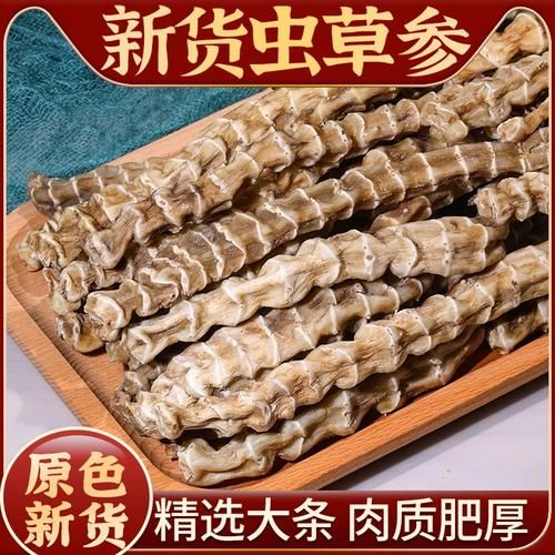 地参虫草图片_如何辨别真假-第2张图片-山城妙识 地参虫草图片_如何辨别真假-第2张图片-山城妙识