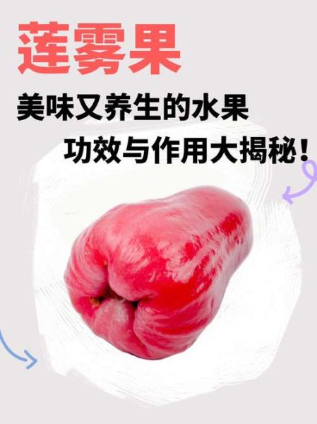 莲雾果一天吃几个合适_莲雾果的正确吃法-第1张图片-山城妙识