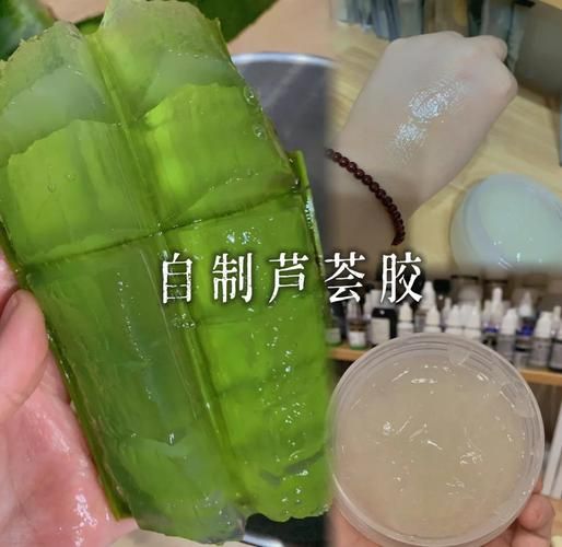 新鲜芦荟怎么做面膜_芦荟面膜正确使用方法-第1张图片-山城妙识