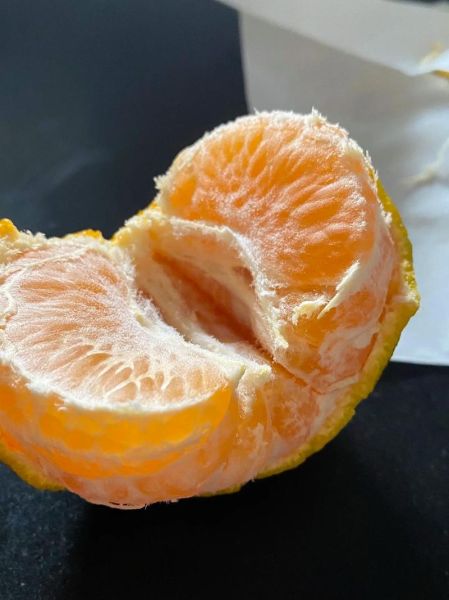 永春芦柑的功效与作用_永春芦柑怎么吃最营养-第1张图片-山城妙识 永春芦柑的功效与作用_永春芦柑怎么吃最营养-第1张图片-山城妙识