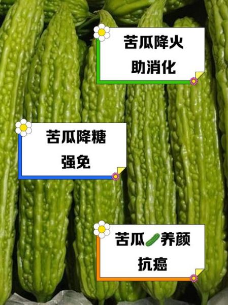 吃苦瓜的副作用有哪些_苦瓜吃多了有什么危害-第2张图片-山城妙识