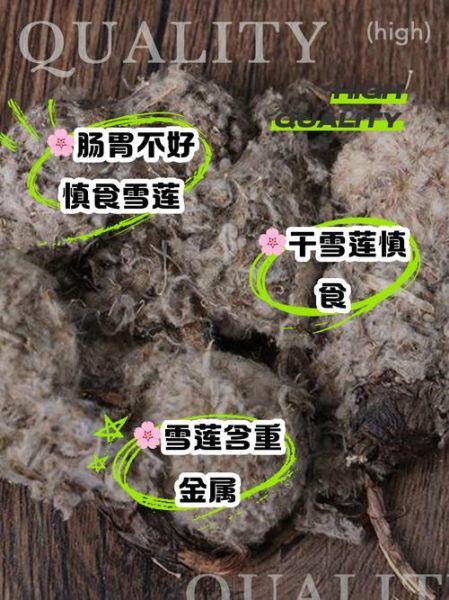 雪莲花怎么吃_雪莲花食用方法大全-第1张图片-山城妙识 雪莲花怎么吃_雪莲花食用方法大全-第1张图片-山城妙识