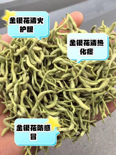金银花泡水的作用与功效_金银花泡水能天天喝吗-第1张图片-山城妙识