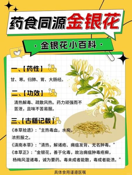 金银花泡水的作用与功效_金银花泡水能天天喝吗-第3张图片-山城妙识