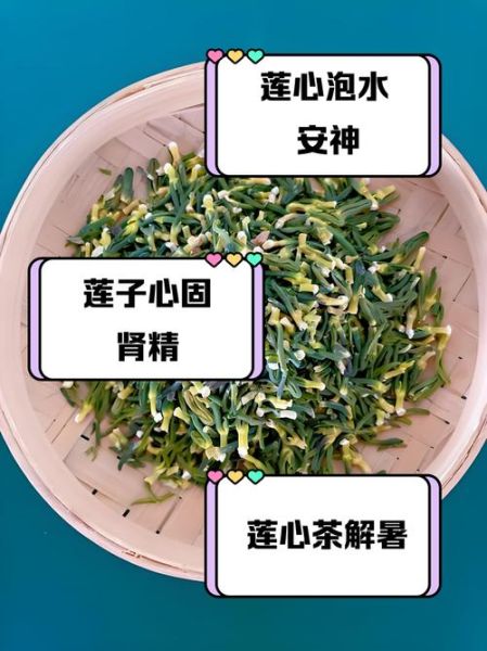 莲子茶的功效与作用_莲子茶适合什么人喝-第1张图片-山城妙识 莲子茶的功效与作用_莲子茶适合什么人喝-第1张图片-山城妙识