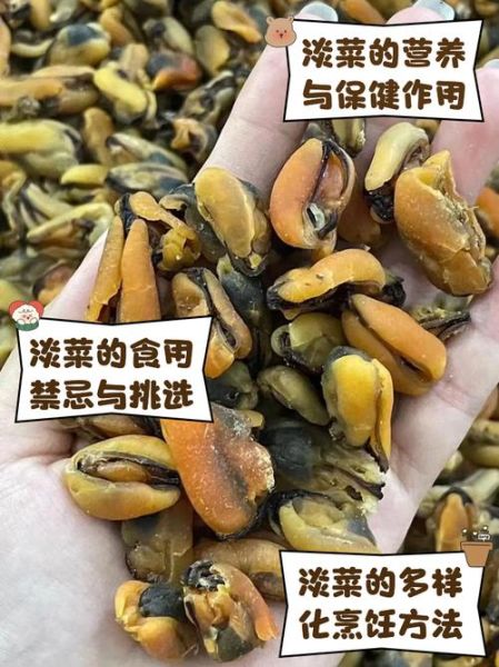 淡菜的功效与作用_淡菜怎么做好吃-第1张图片-山城妙识 淡菜的功效与作用_淡菜怎么做好吃-第1张图片-山城妙识