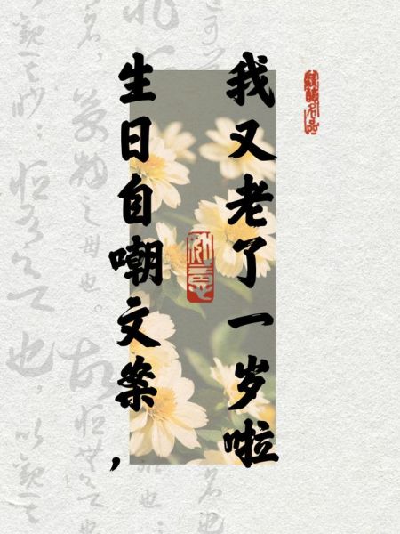 又老了一岁怎么办_幽默句子怎么写-第1张图片-山城妙识