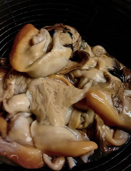 河蚌怎么清洗干净内脏_河蚌内脏清理步骤-第1张图片-山城妙识