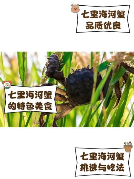 河蟹什么意思_网络用语河蟹的来源-第2张图片-山城妙识