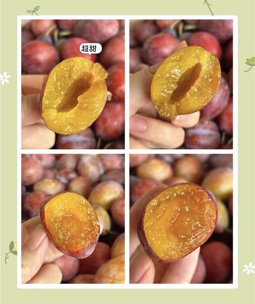 西梅怎么吃最通便_西梅通便的正确吃法-第1张图片-山城妙识