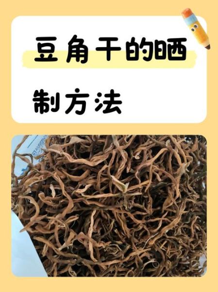 干豆角怎么泡发窍门_干豆角泡多久才软-第2张图片-山城妙识