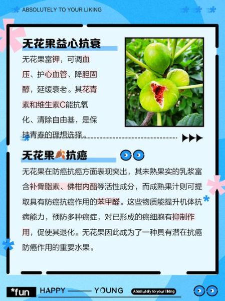 无花果副作用太大了_吃无花果会中毒吗-第1张图片-山城妙识