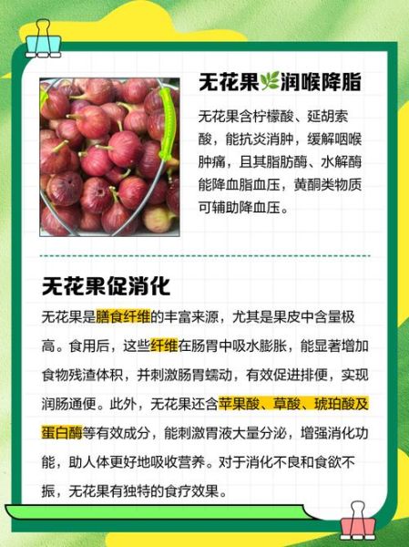 无花果副作用太大了_吃无花果会中毒吗-第2张图片-山城妙识