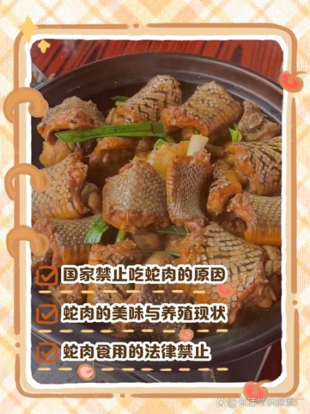 蛇肉怎么做好吃_蛇肉的做法大全-第3张图片-山城妙识