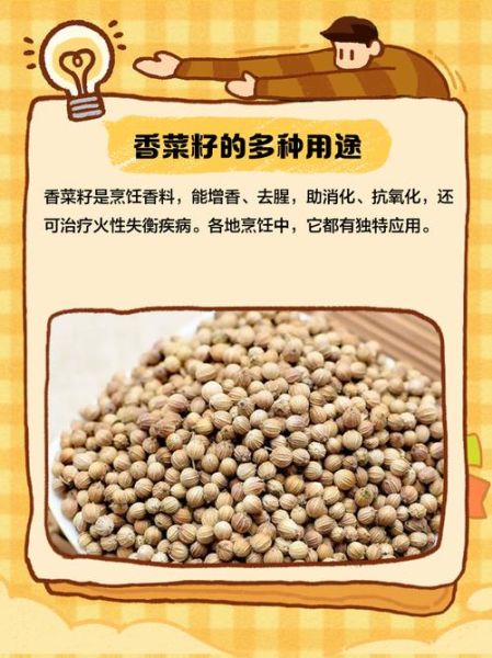 芫荽籽的功效与作用_芫荽籽怎么吃最好-第1张图片-山城妙识