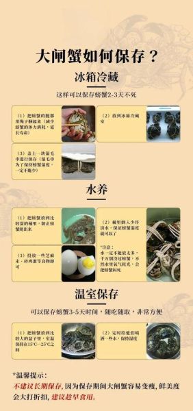 活螃蟹怎么保存过夜_放水还是不放水-第1张图片-山城妙识
