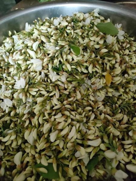 洋槐花怎么吃_洋槐花怎么蒸好吃-第1张图片-山城妙识 洋槐花怎么吃_洋槐花怎么蒸好吃-第1张图片-山城妙识