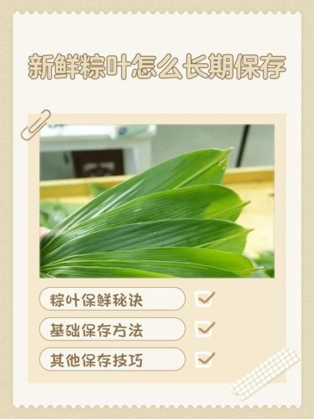 粽叶怎么煮能保持绿色_粽叶煮多久不变黄-第2张图片-山城妙识 粽叶怎么煮能保持绿色_粽叶煮多久不变黄-第2张图片-山城妙识