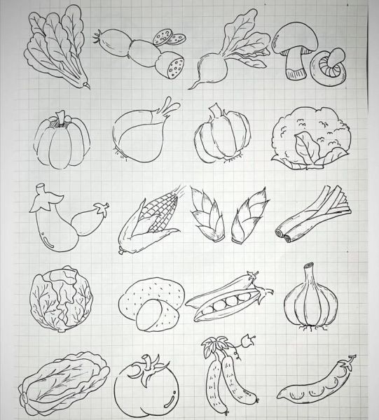 水果蔬菜简笔画怎么画_水果蔬菜简笔画教程-第1张图片-山城妙识 水果蔬菜简笔画怎么画_水果蔬菜简笔画教程-第1张图片-山城妙识