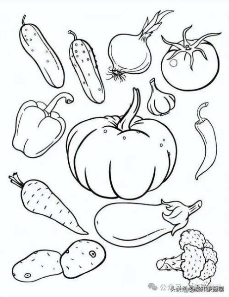 水果蔬菜简笔画怎么画_水果蔬菜简笔画教程-第3张图片-山城妙识 水果蔬菜简笔画怎么画_水果蔬菜简笔画教程-第3张图片-山城妙识